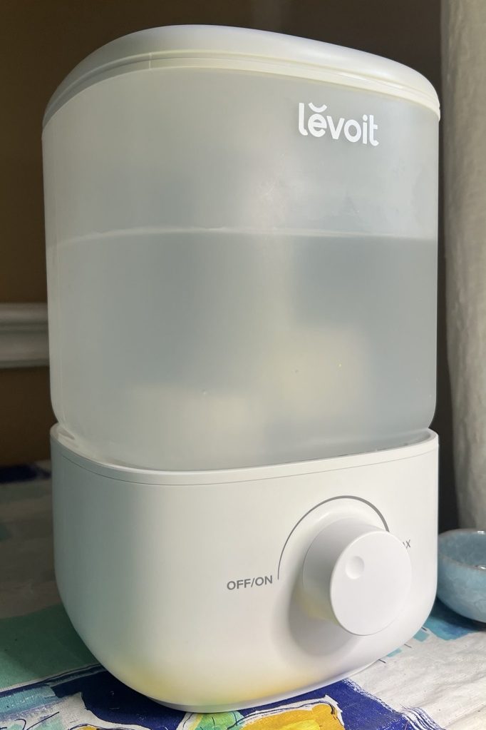 Let’s Talk About Humidifiers… And Water – my Plants